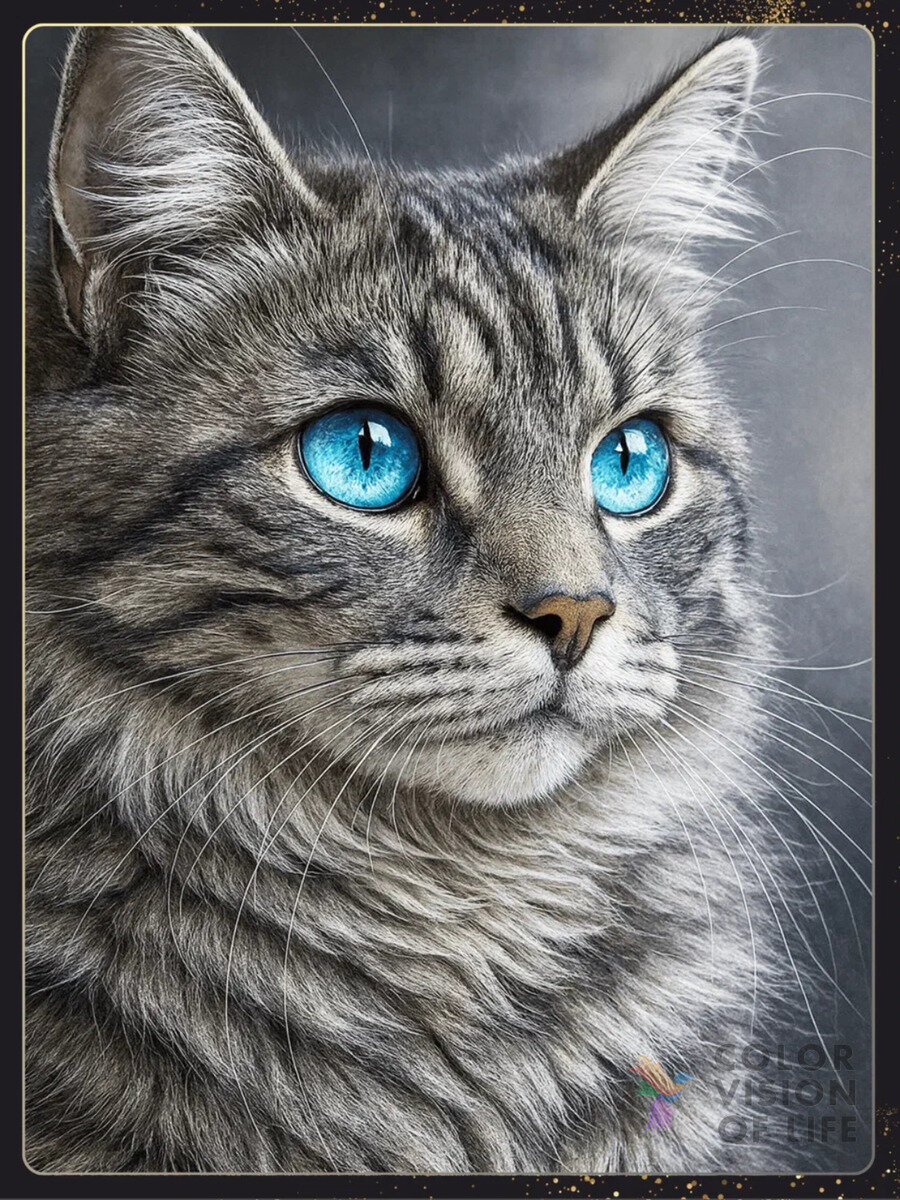 Алмазная мозаика COLOR VISION OF LIFE "Серый кот", 30х40, с подрамником, акриловые стразы
