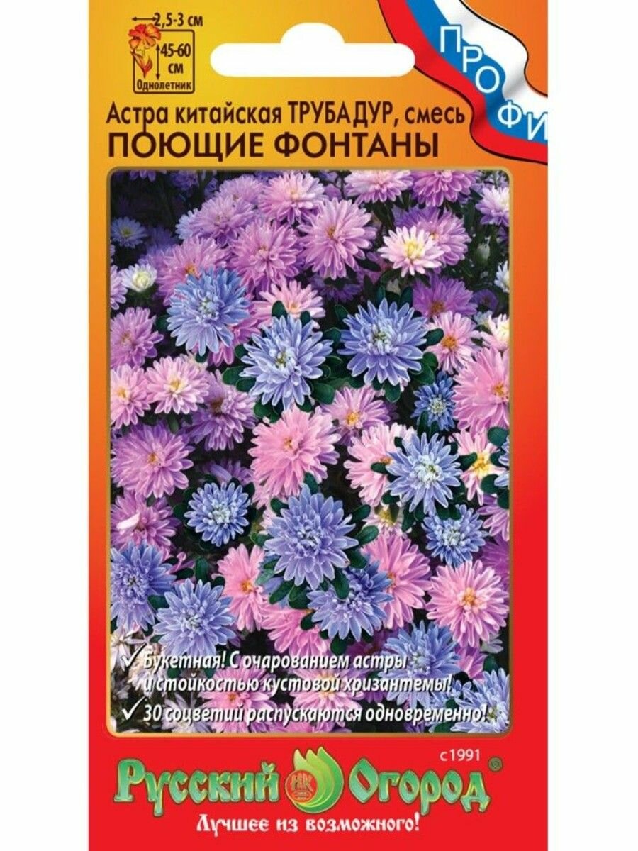 Семена Астра Поющие фонтаны