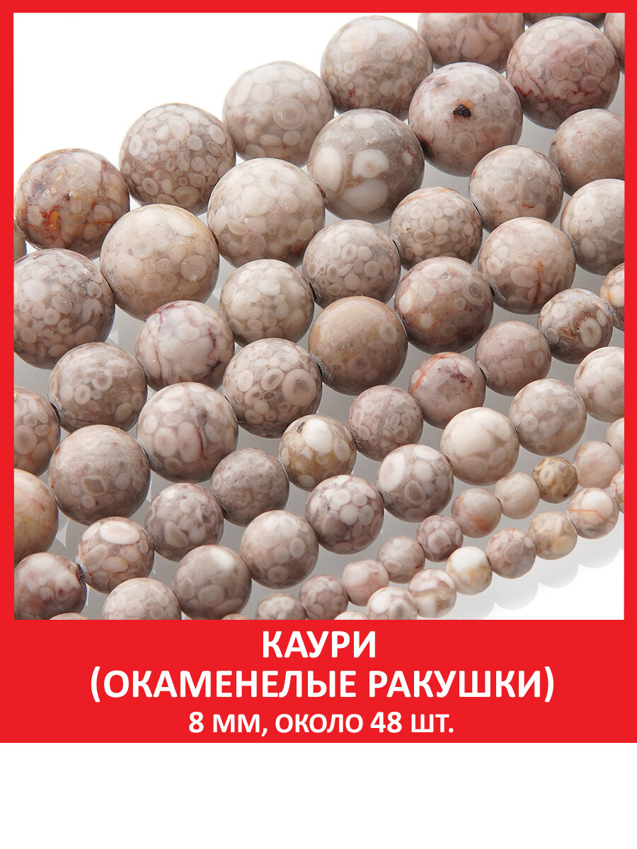 Каури (окаменелые ракушки) 8 мм, бусины на нитке (около 48 шт)