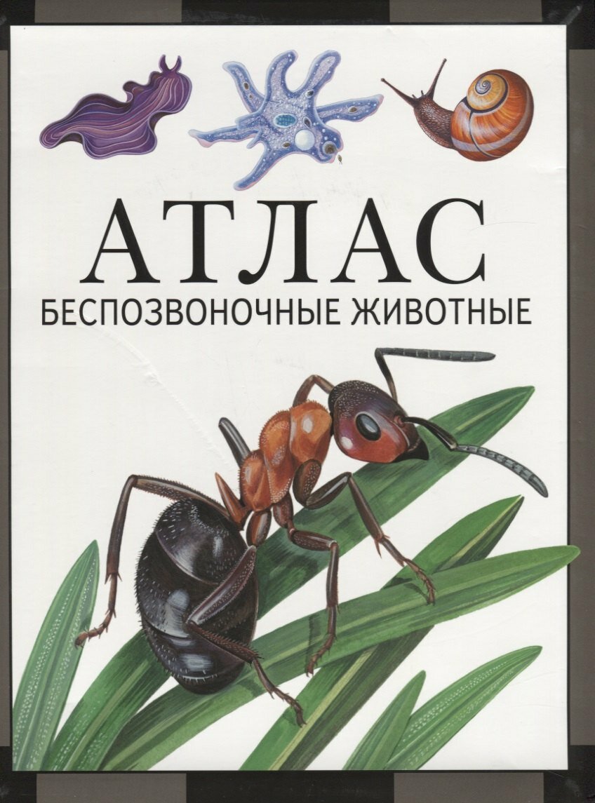 Книга: "Атлас. Беспозвоночные животные" от Дольник В, русский язык, Зоология