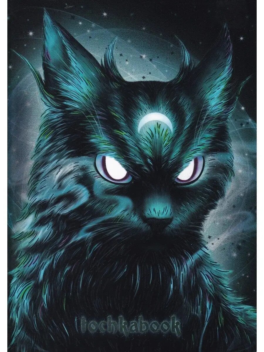 Проф-Пресс Точкабук с холодным тиснением. Мистический кот, 64 листа, А5