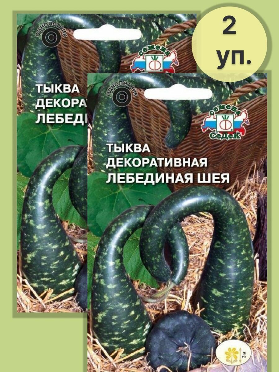 Семена "СеДеК" Тыква (2 уп.) Лебединая шея для декоративного использования