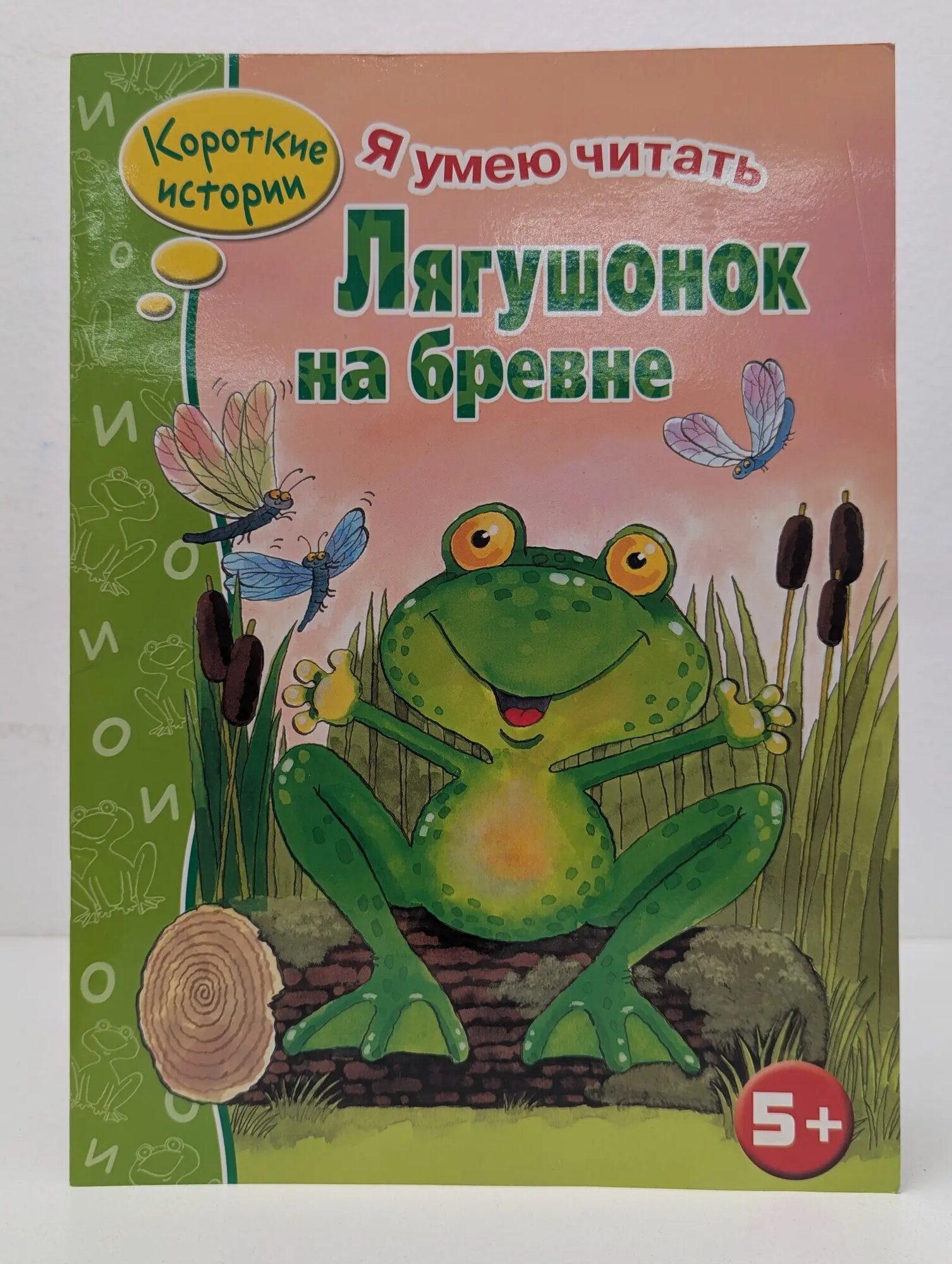 Лягушонок на бревне Терентьева Нонна Николаевна 2015