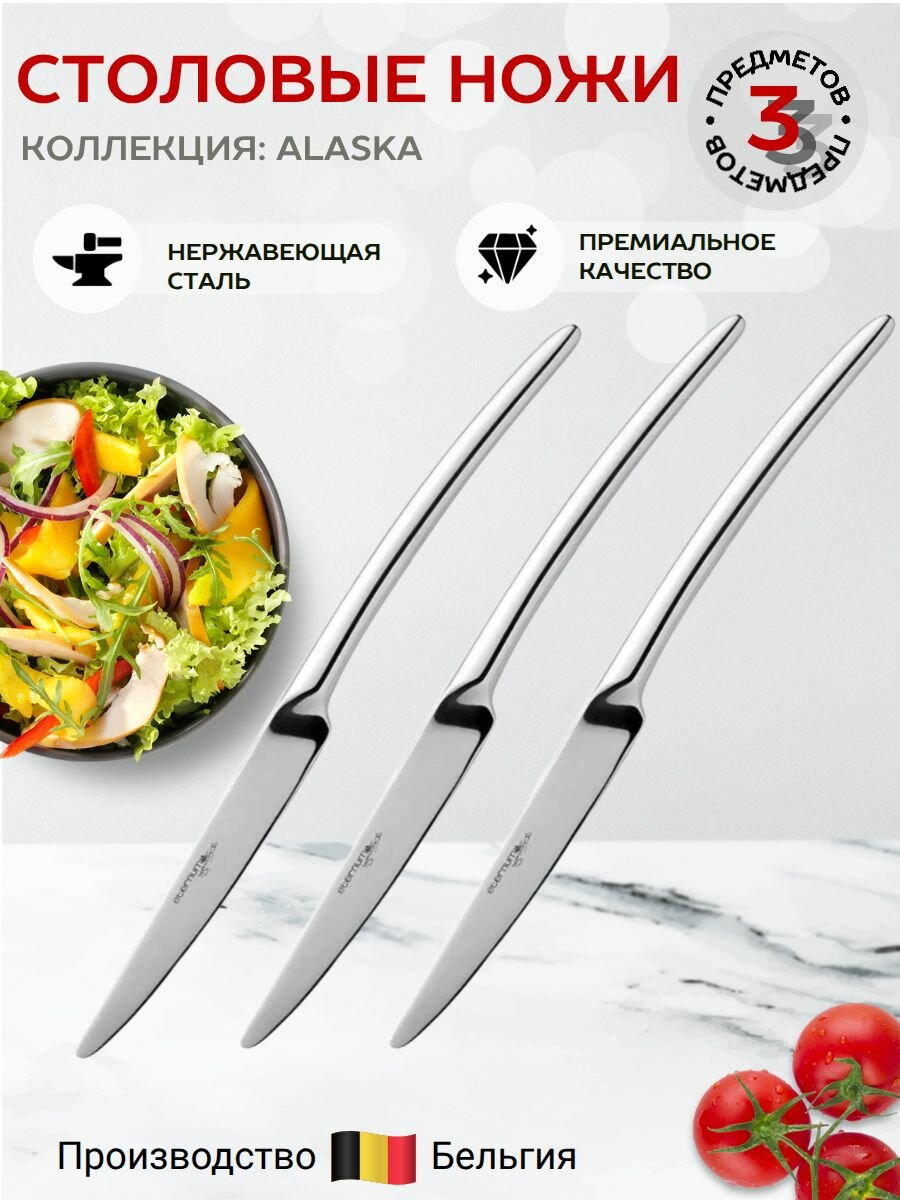 3 столовых ножа Eternum Alaska сталь