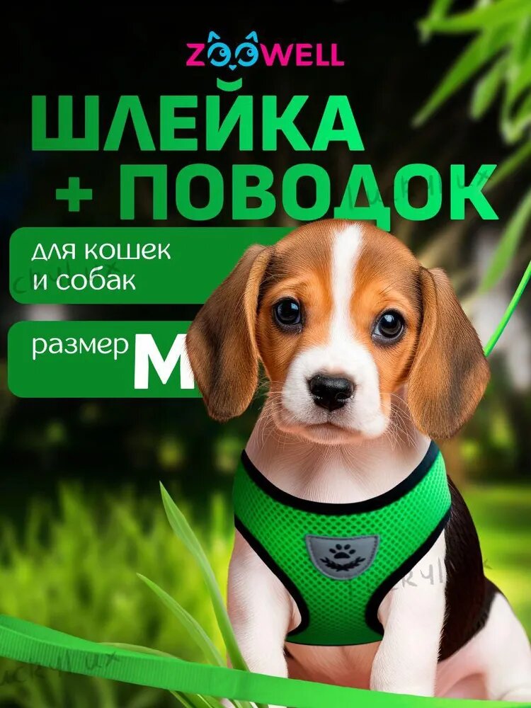 Шлейка