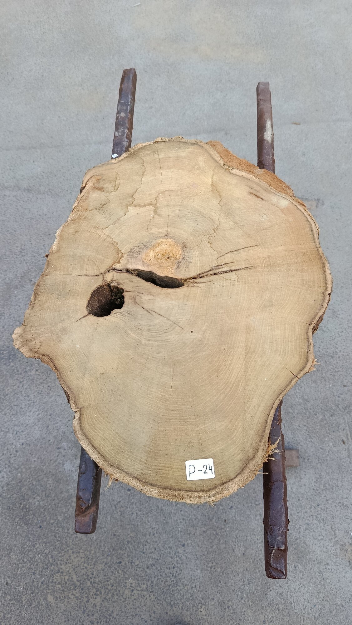 Спил из акации 50х37х7 см(Р24) высушенный и не фрезерованный, не шлифованный