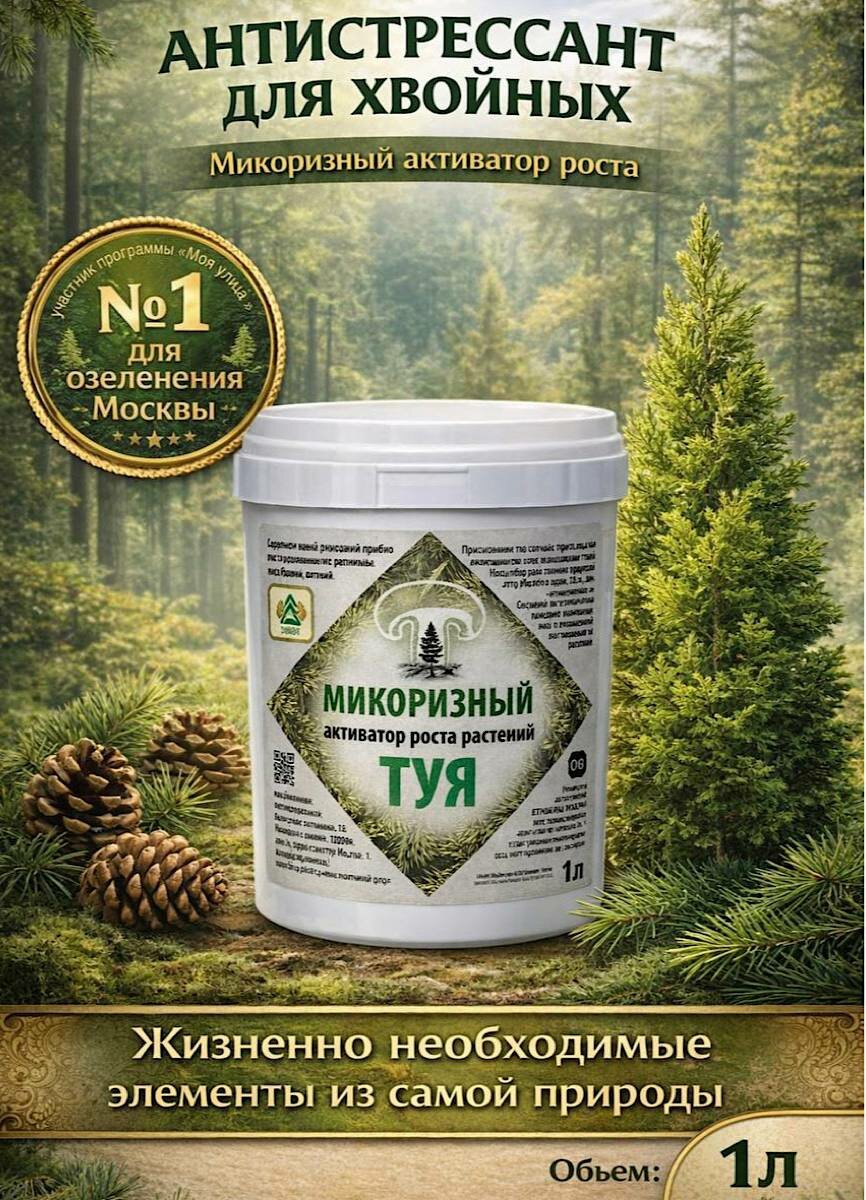 Микоризный активатор роста для хвойных растений. Для туи. Микобакс