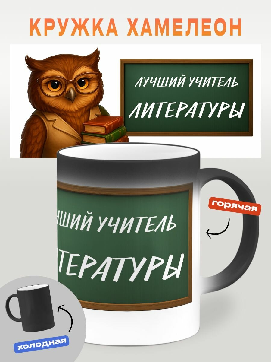 Кружка хамелеон в подарок учителю литературы, 330 мл, 1 шт.