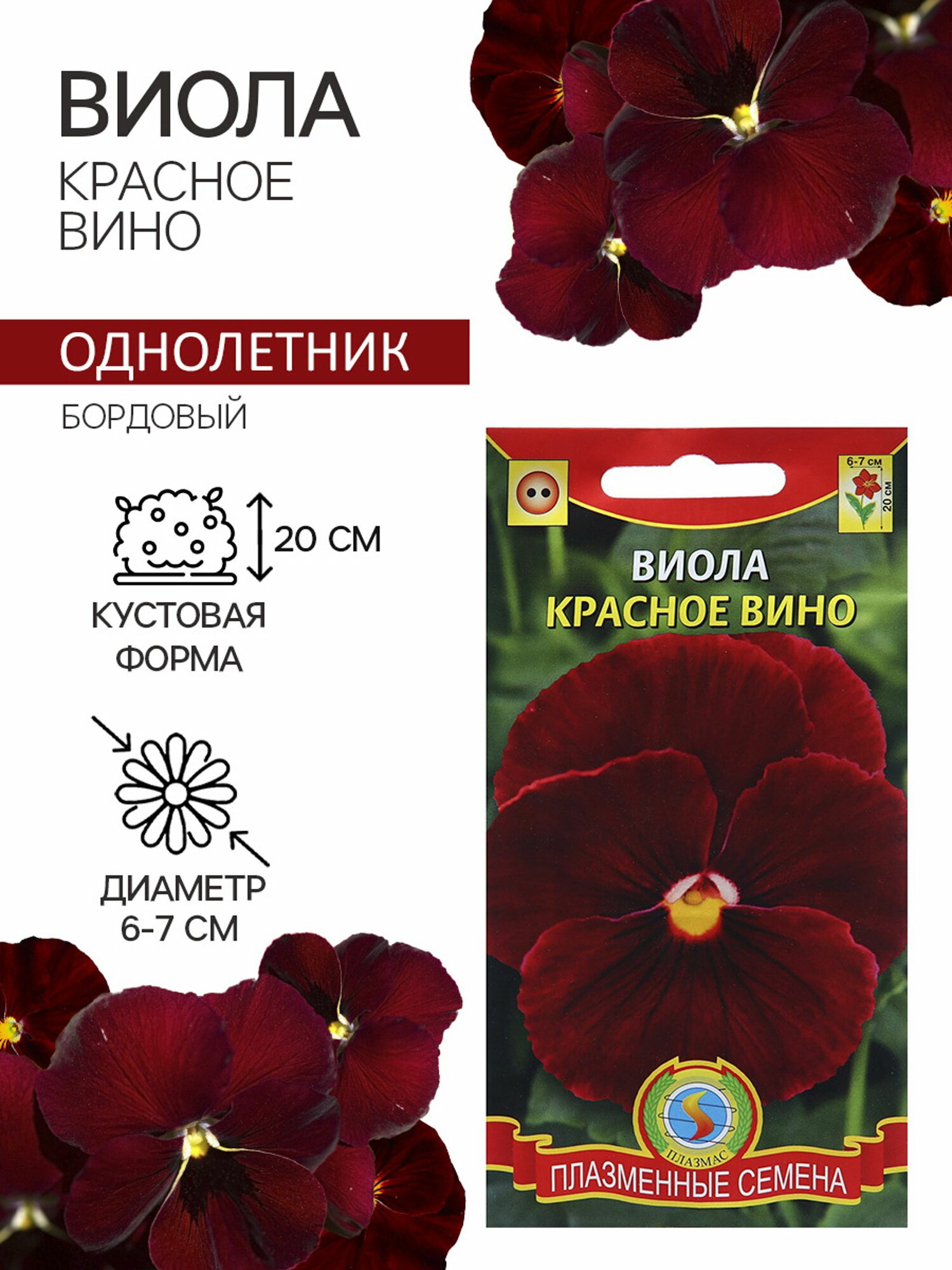 Семена цветов Виола "Красное вино", 0.1 г, однолетник, цветение период: август, 2 шт.