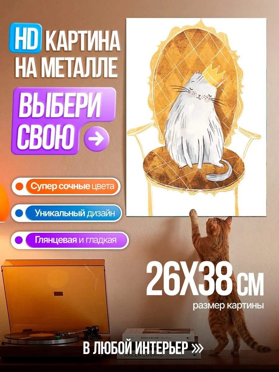 Картина на HD металле Кот в короне