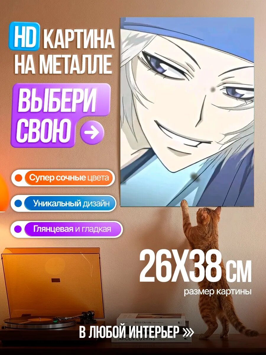 Картина на HD металле Томоэ