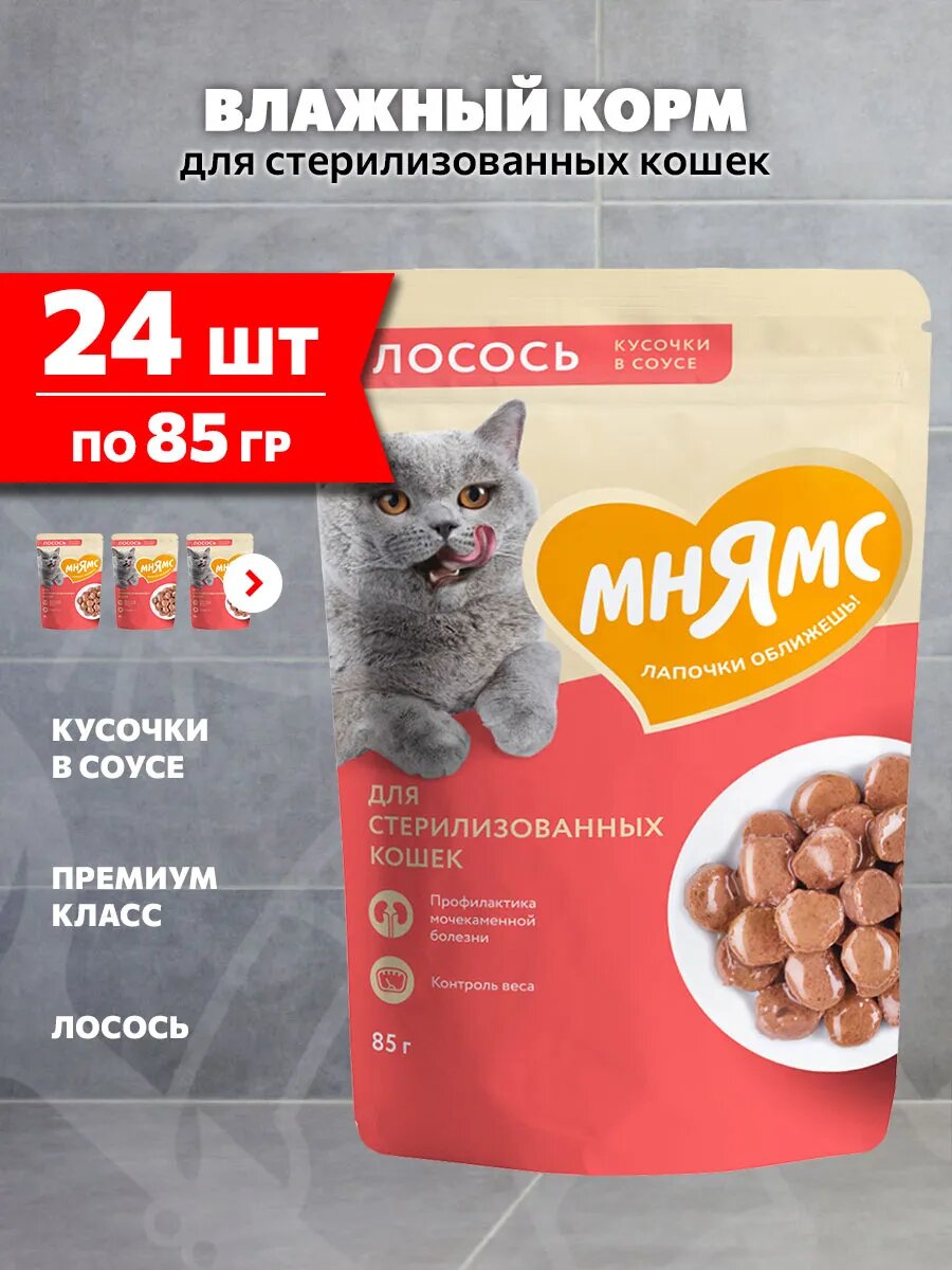 Корм влажный Мнямс для взрослых кастрированных котов и стерилизованных кошек, лосось в соусе, 85 г х 24 шт