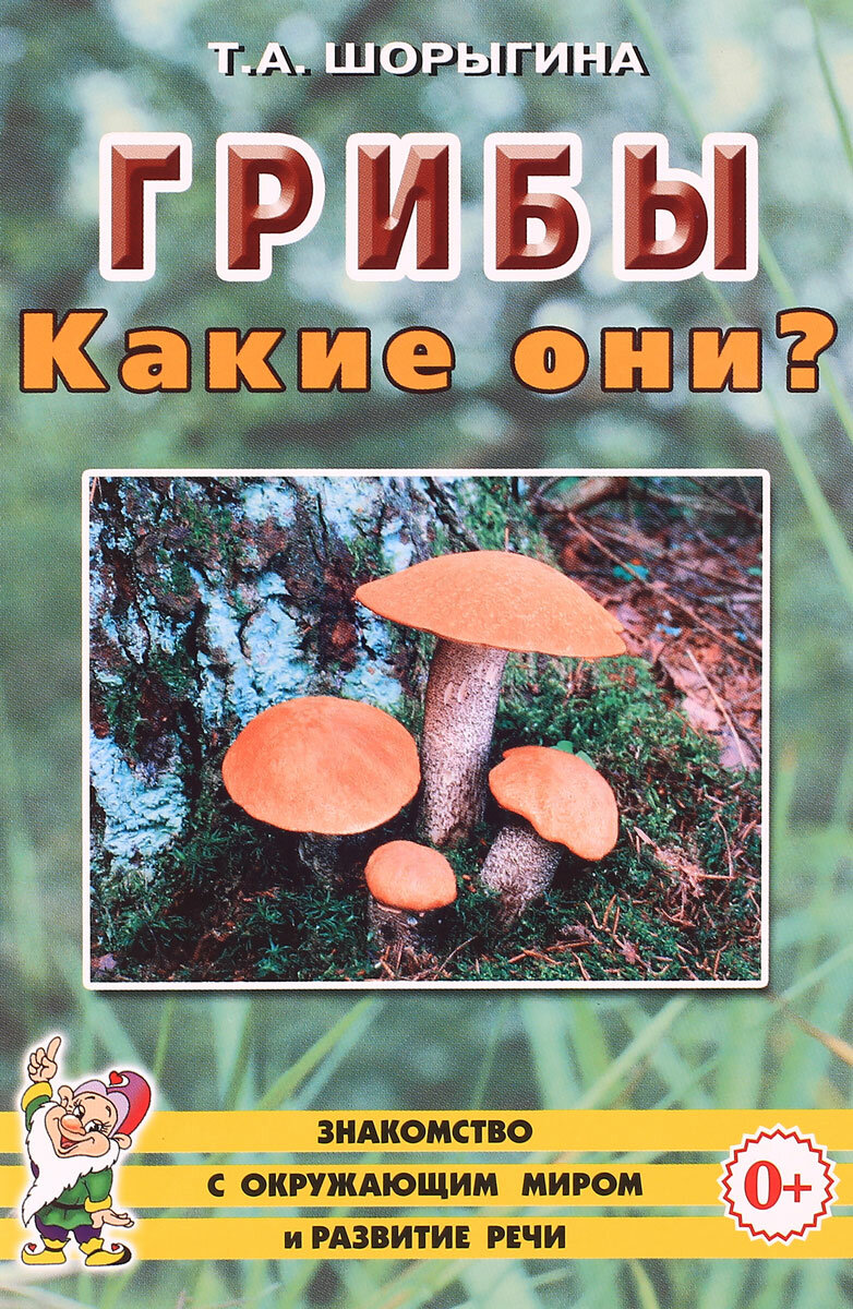 Грибы. Какие они? Шорыгина Татьяна Андреевна