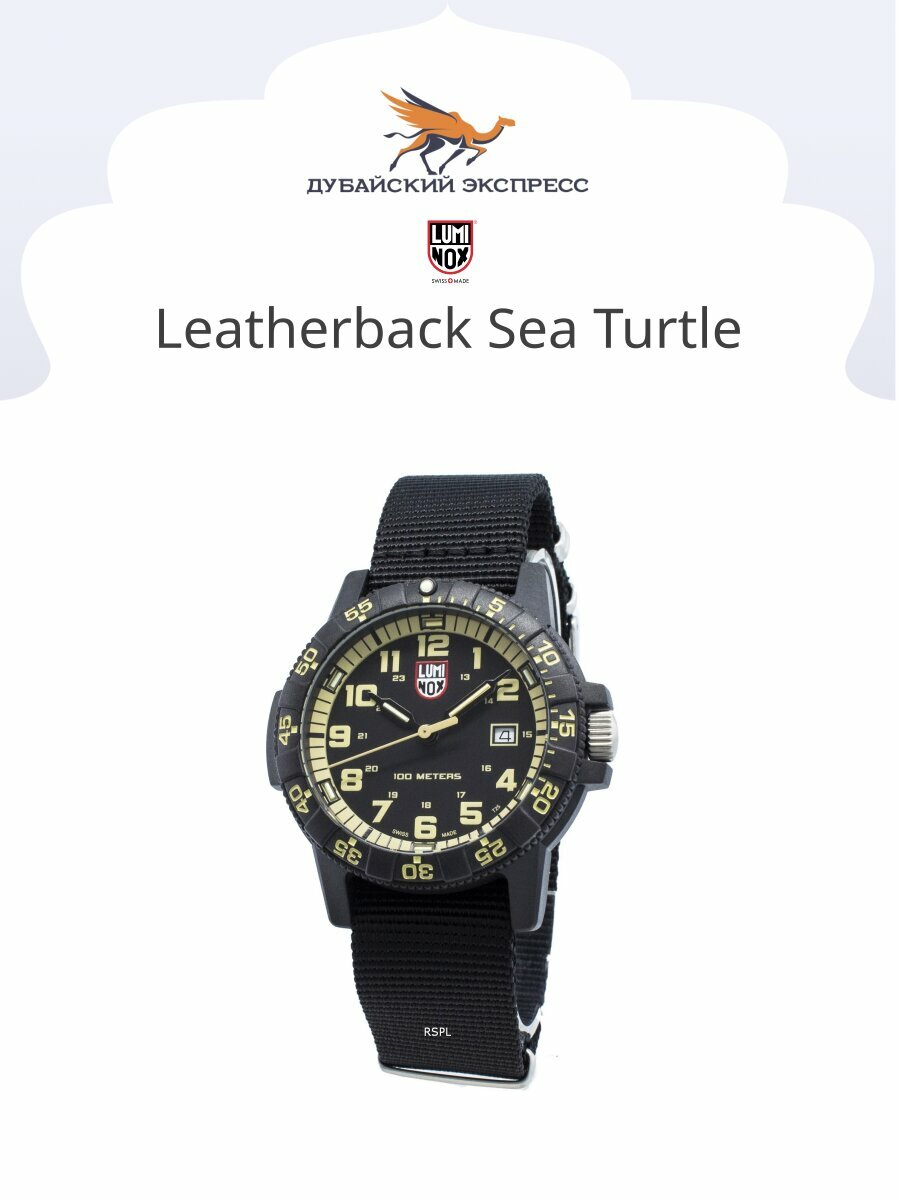  Luminox