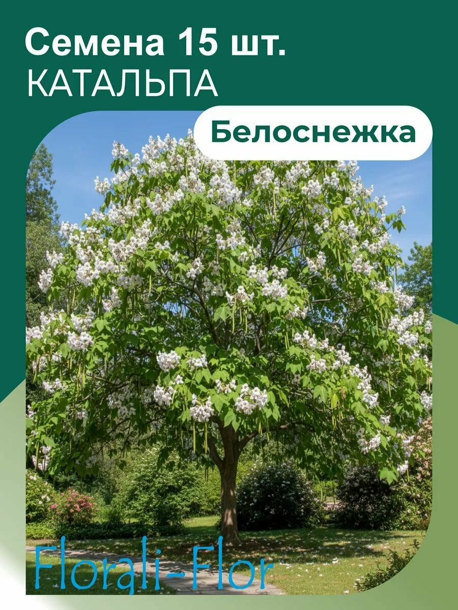 Катальпа Семена