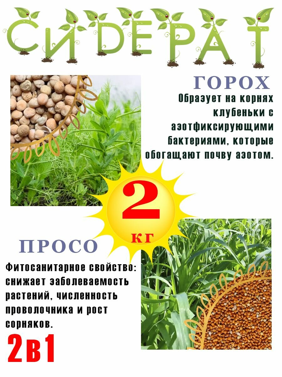 Сидерат Горох Просо 2в1