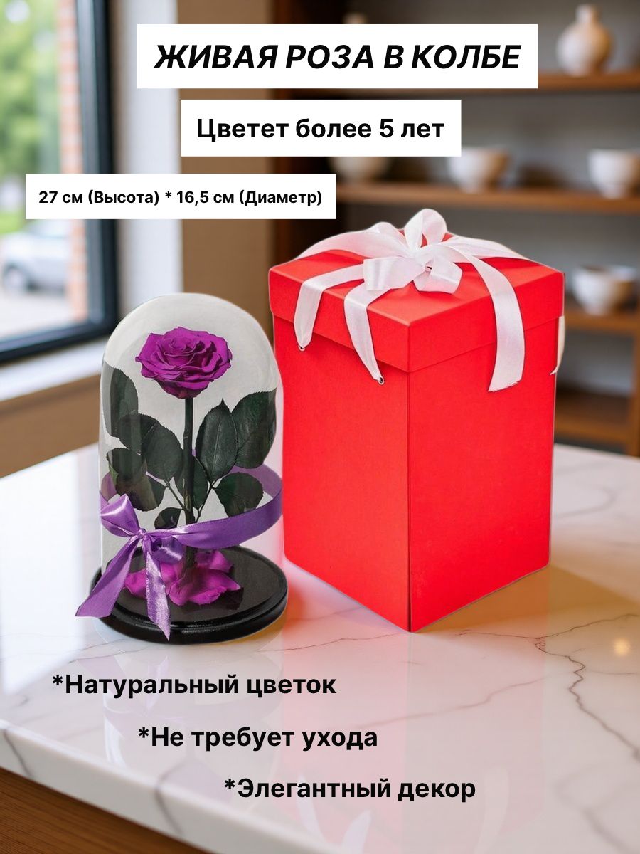 Стабилизированные цветы в стекле, Роза в колбе живая Премиум фиолетовая 27x16,5 см с красной подарочной коробкой 30х18х18см, GIFT4YOU
