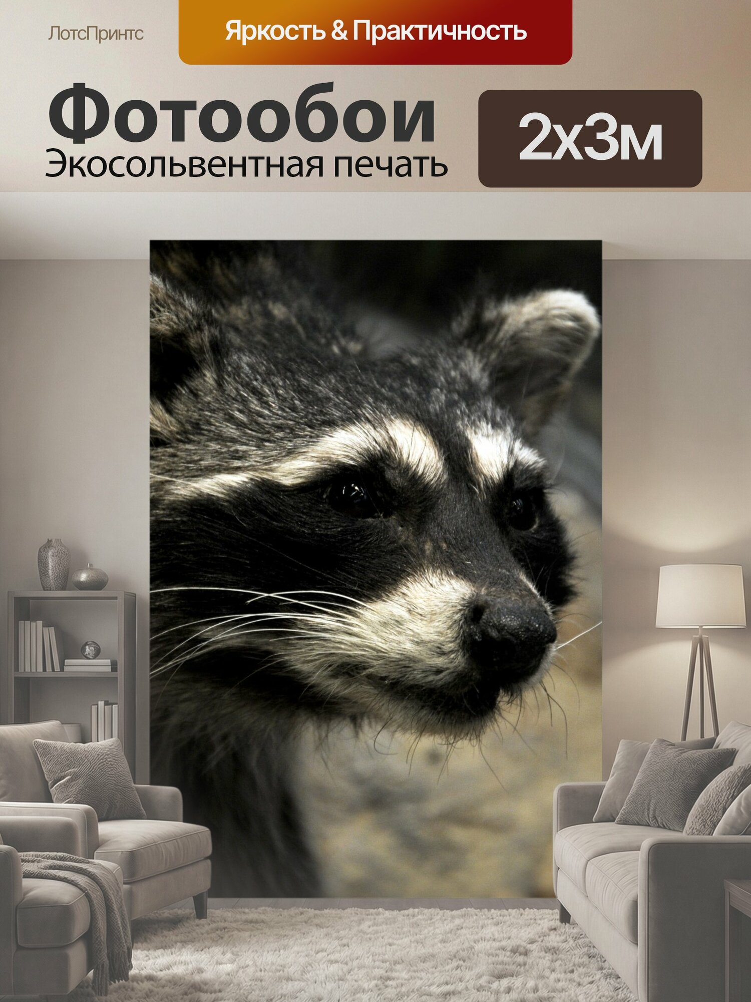 Фотообои "Крупным планом Енот лица Закрыть лица енота енот макро крупным планом животных диких диких животных черный белый лицо мех пушистый открытом воздухе" 200x300 см. экосольвентная печать