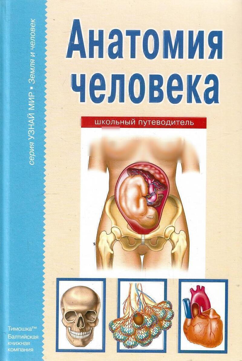 Анатомия человека