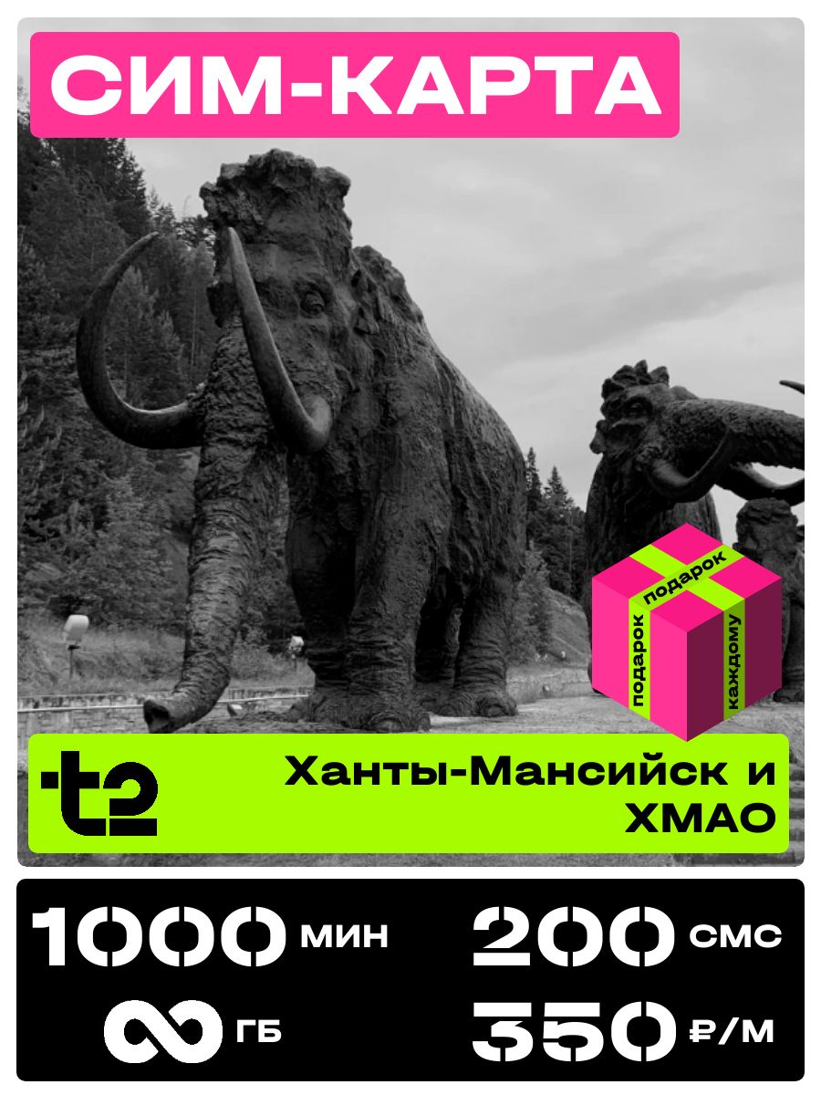 Сим карта теле 2 с безлимитным интернетом. t2 SIM-карта тариф Партнер М хмао. 1000 минут за 350 рублей в месяц.