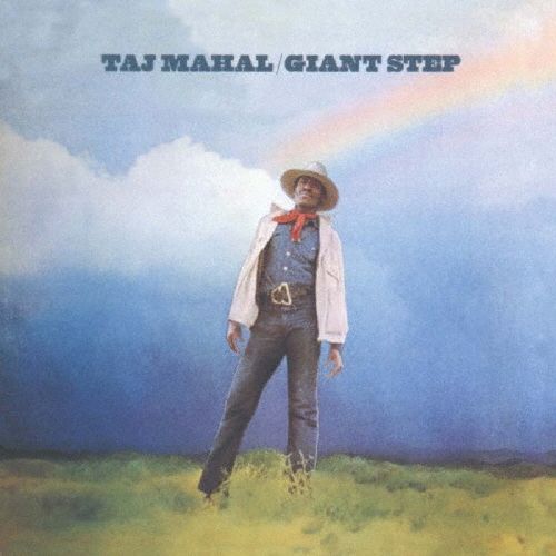 Музыка CD Taj Mahal - Giant Steps/D All Folks at Home / 1CD