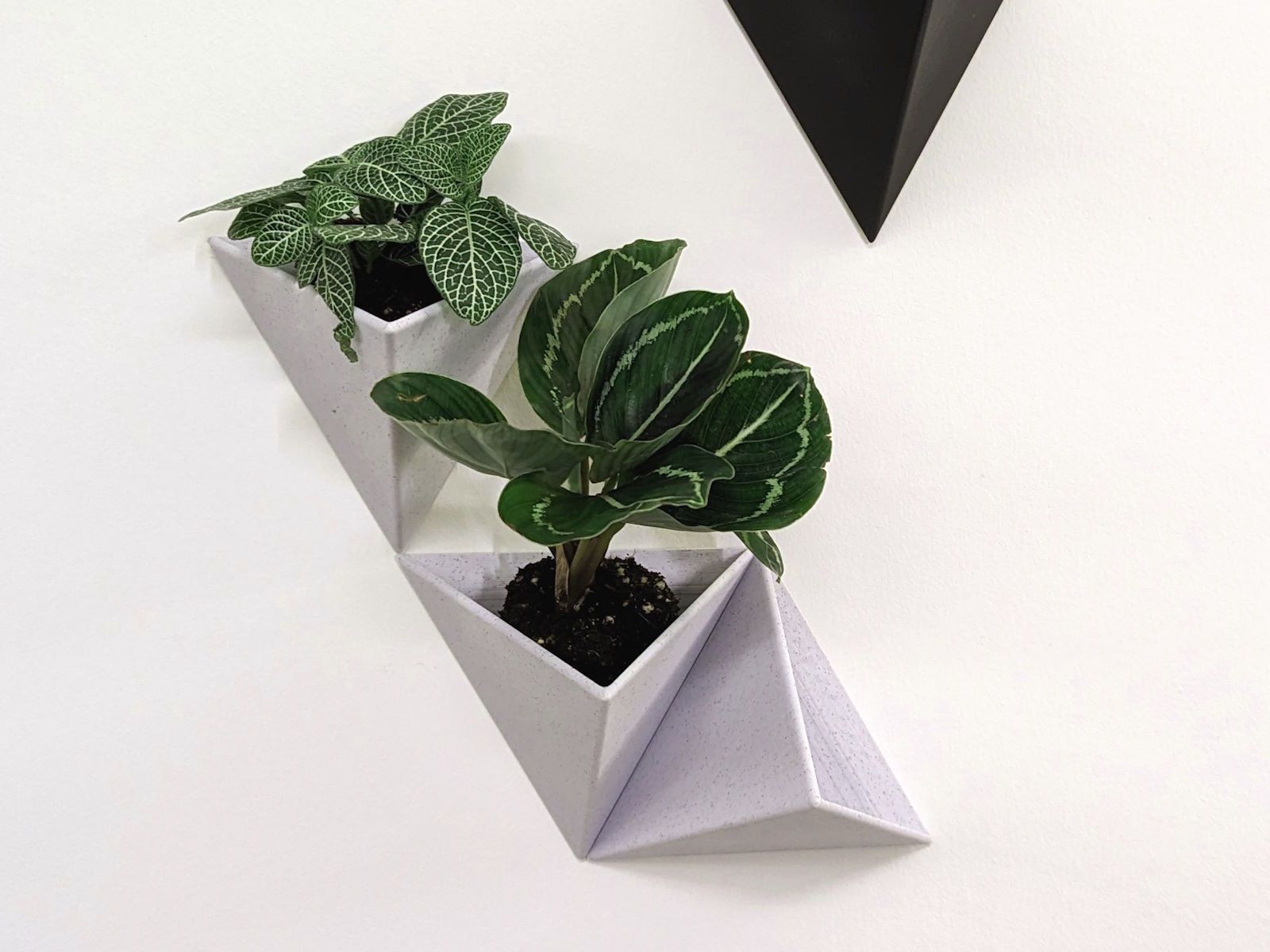 Кашпо для растений дизайнерская, 3D-печать под заказ, арт. PZ-PLANT-PR-911755