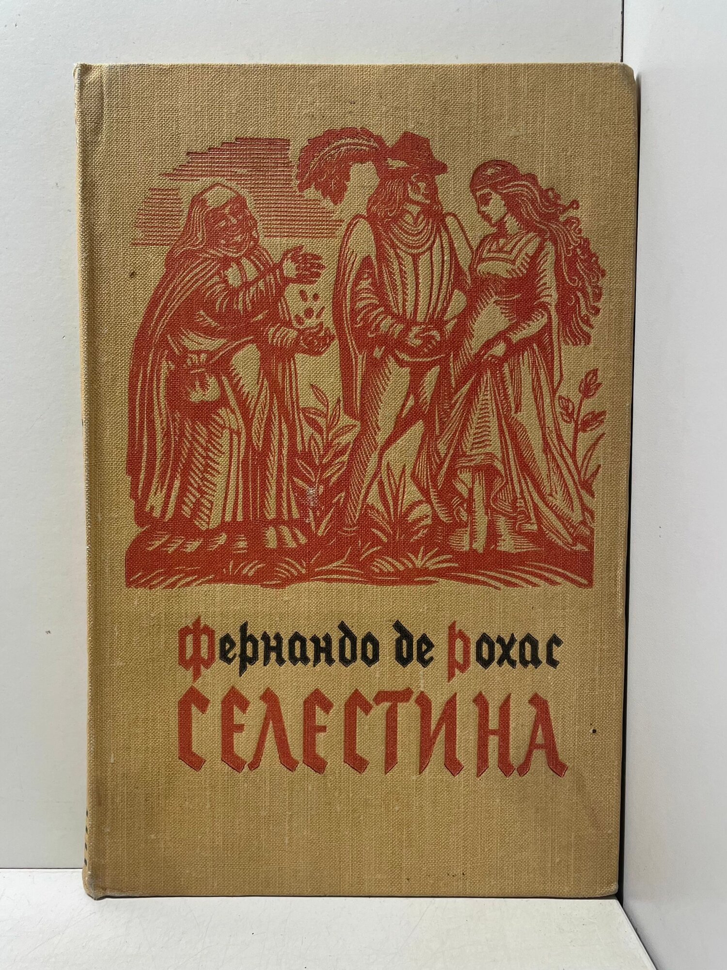 Селестина Де Рохас Фернандо