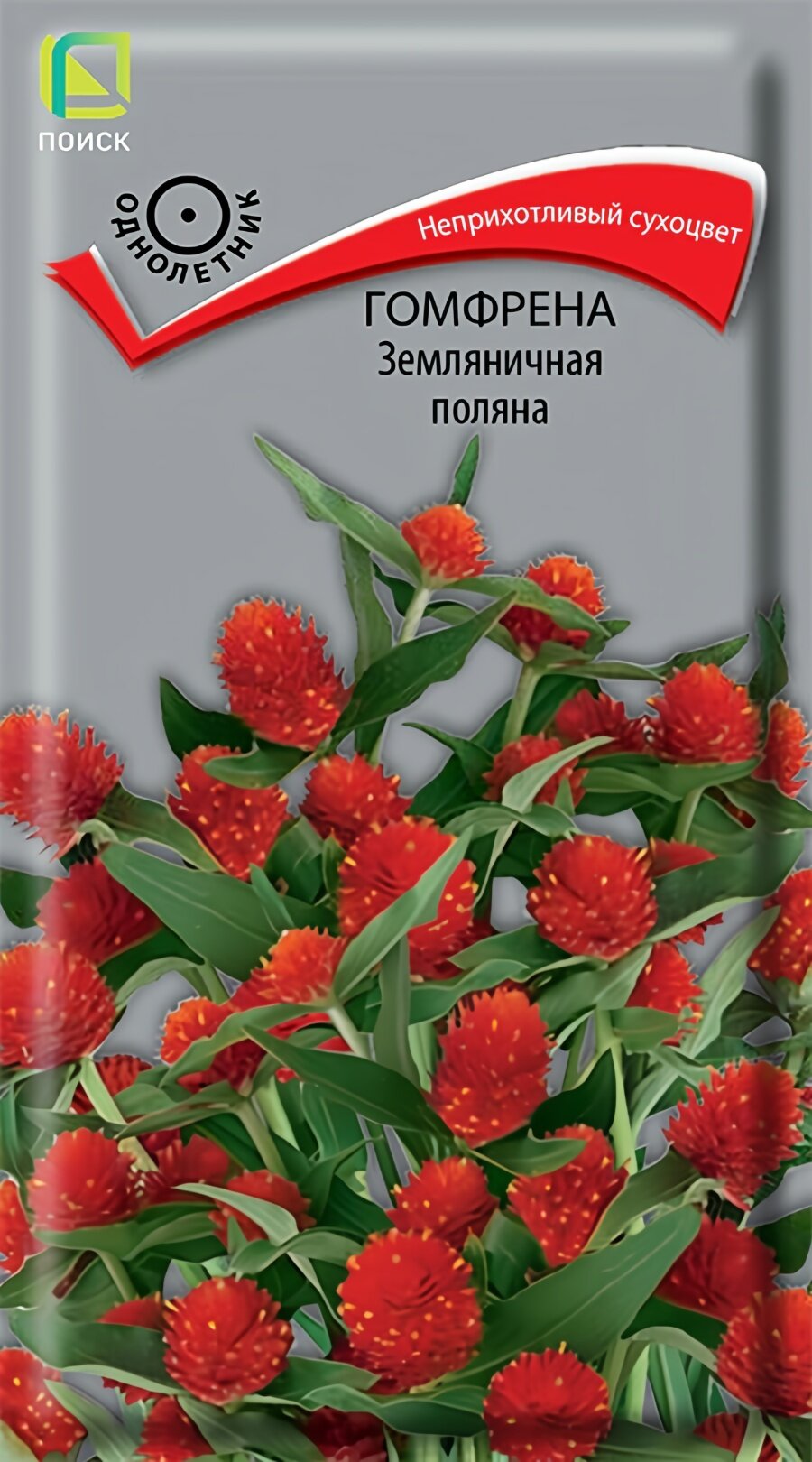 Семена гомфрены Земляничная поляна, 0,1 г, поиск, однолетник, высота до 50 см, посев на рассаду в марте
