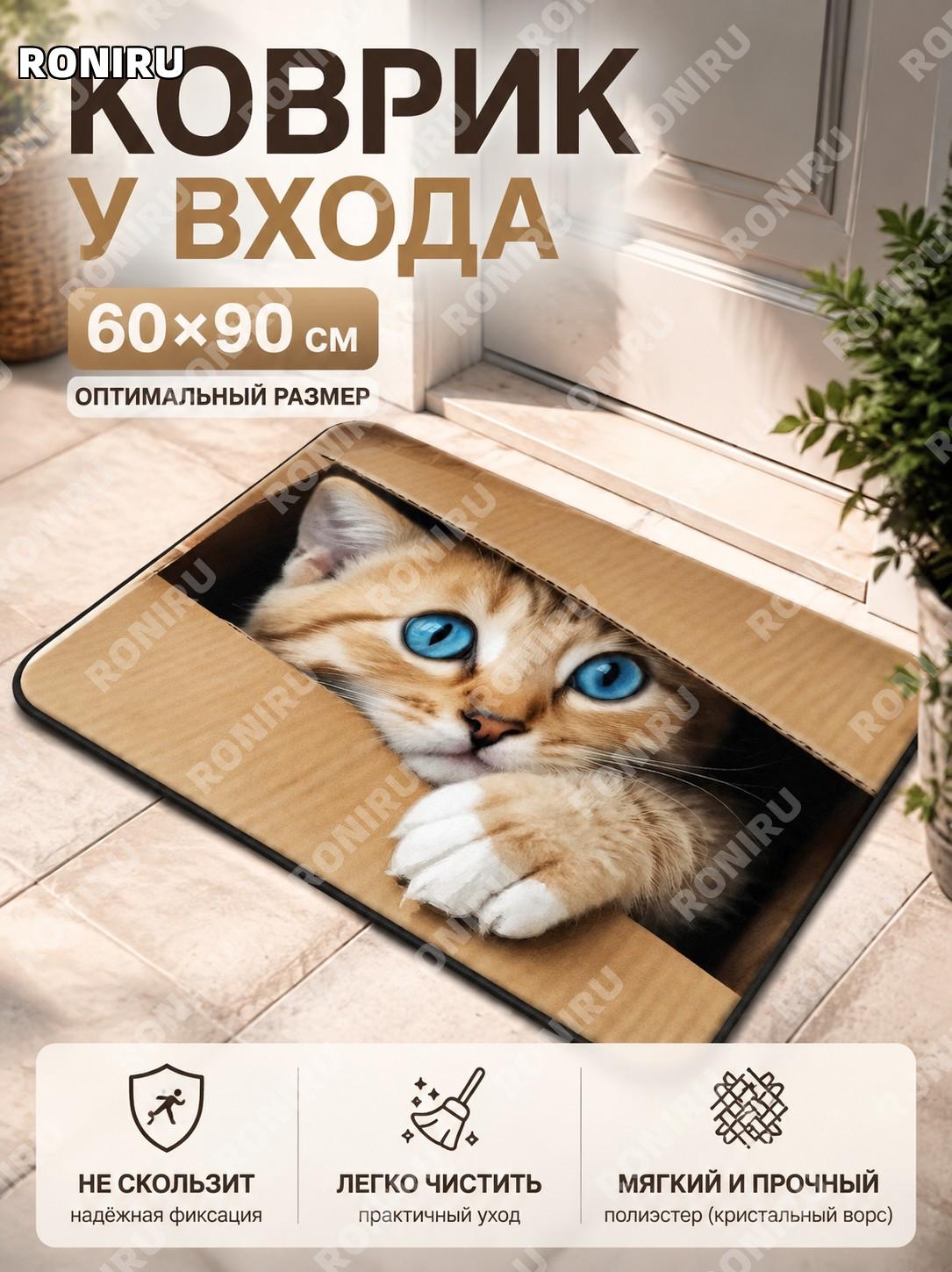 Коврик для входной двери SYT-SJM-5 60×90 см, хрустальный ворс, из полиэстера для прихожей домашний напольный декор