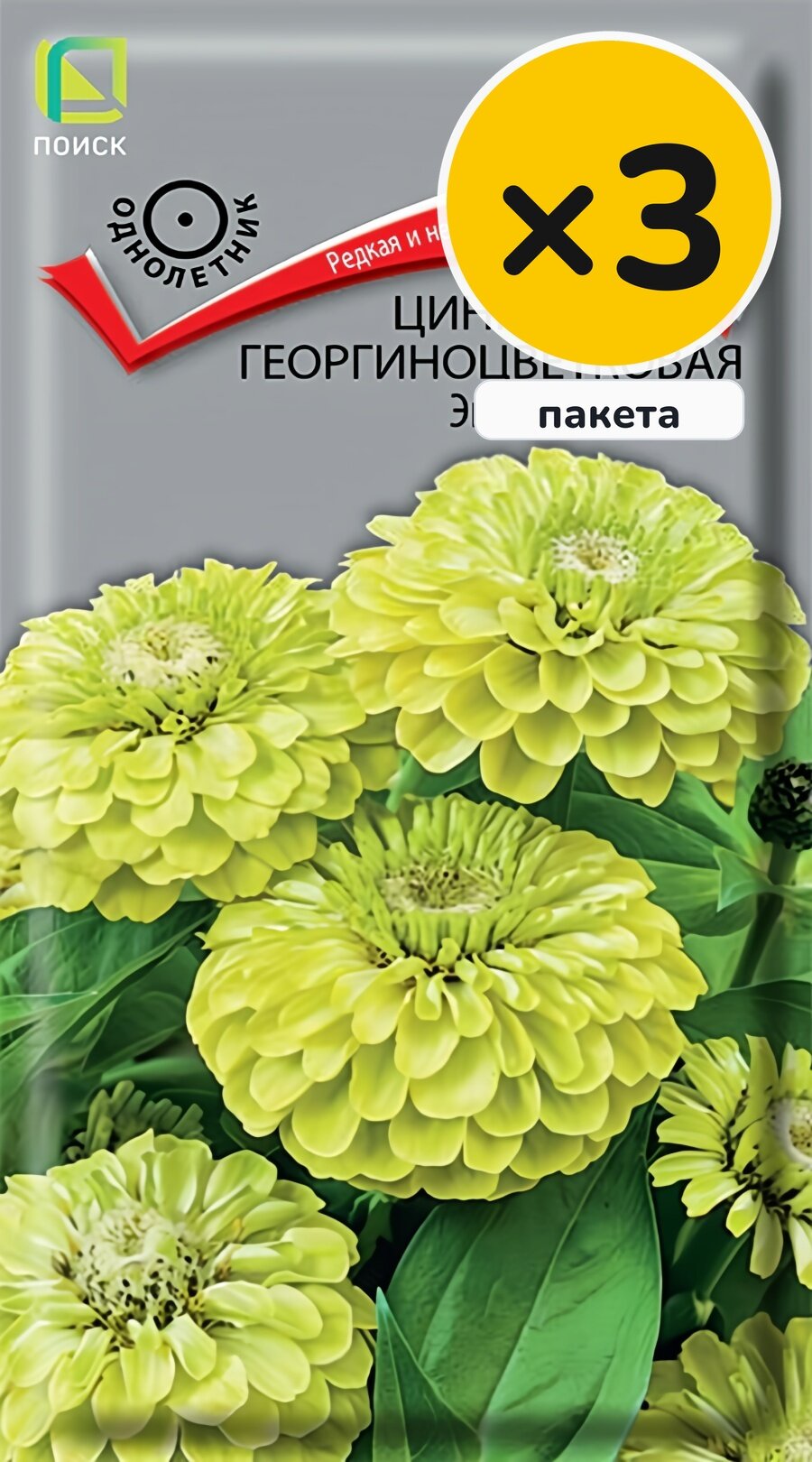 Семена циннии георгиноцветковой Энви, 0,4 г, 3 пакета, Поиск, однолетник, высота до 80 см, посев на рассаду в апреле