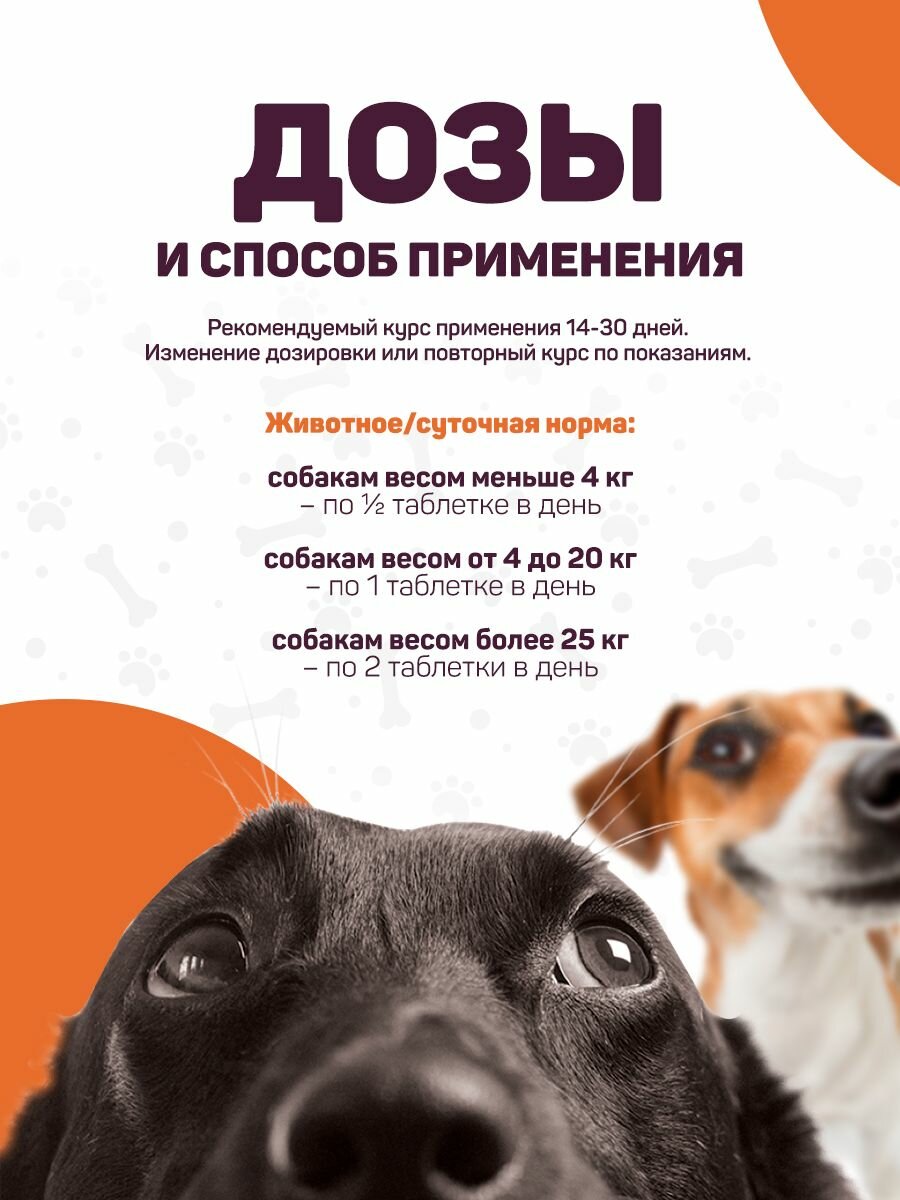 Мультивитамины для собак Multi Vit 70 таблеток — фото 1