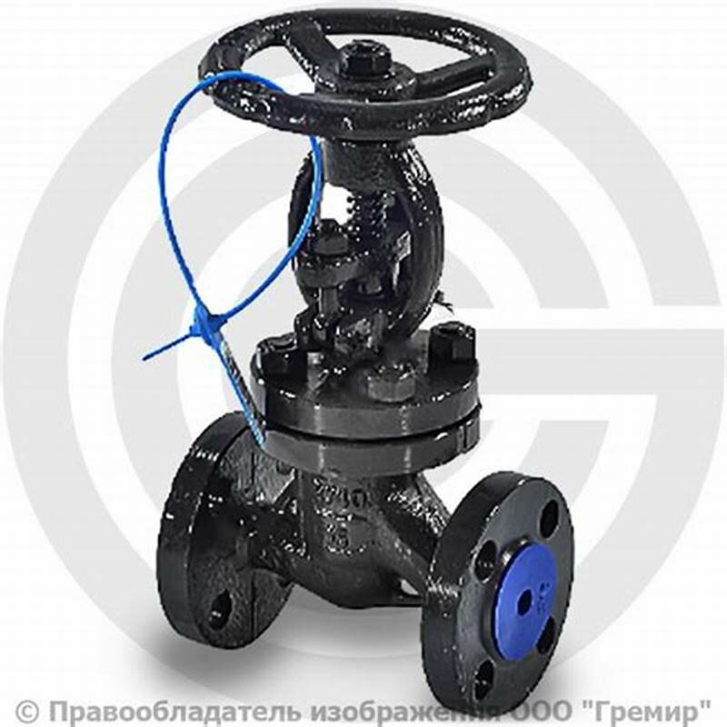 Запорный клапан стальной фланцевый 15с22нж, Ду 25, Ру 40 (HJCN)