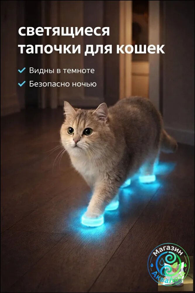 Эксклюзивные светящиеся тапочки для кошек