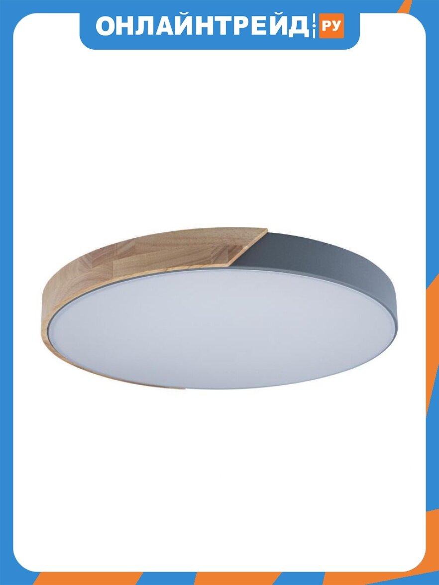 Потолочный светильник Loft IT Axel 10004/36 grey