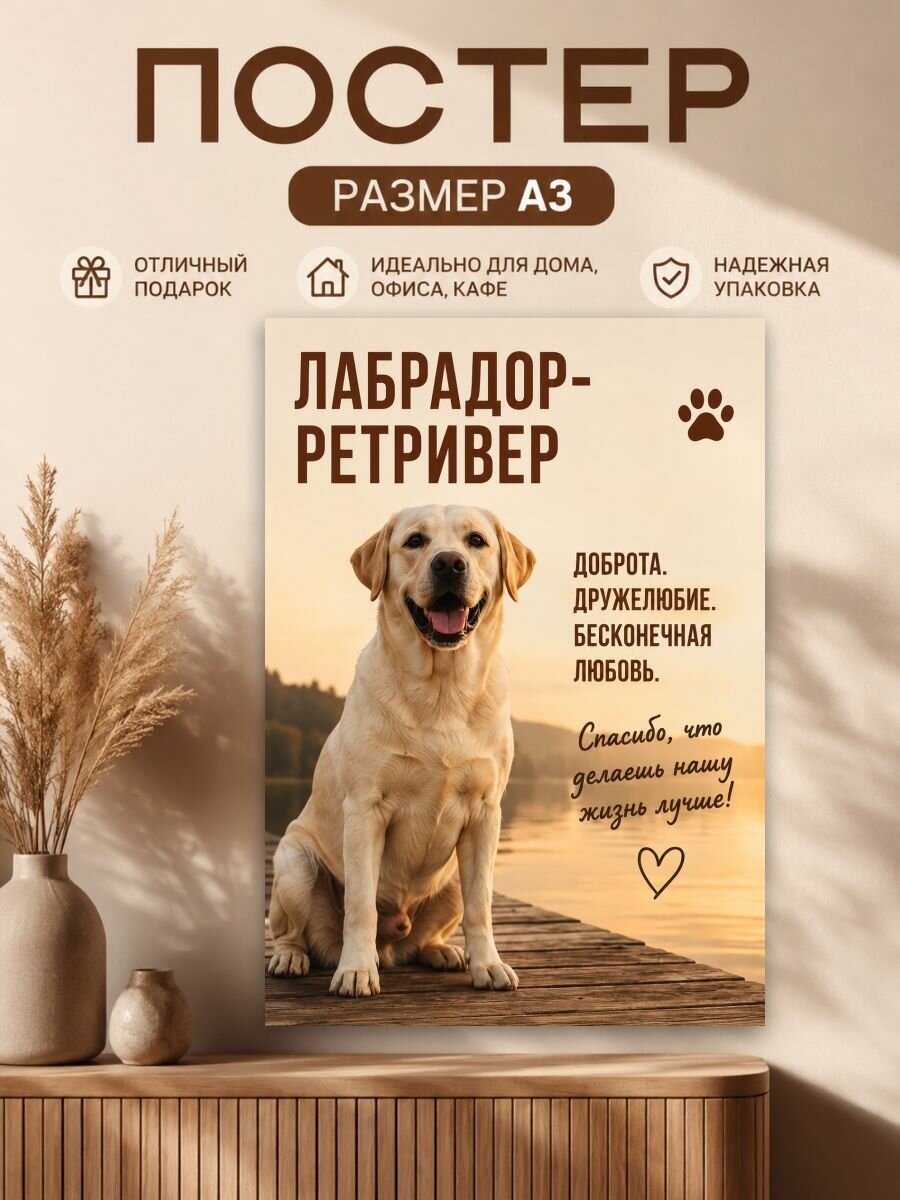 Постер на стену Лабрадор-ретривер