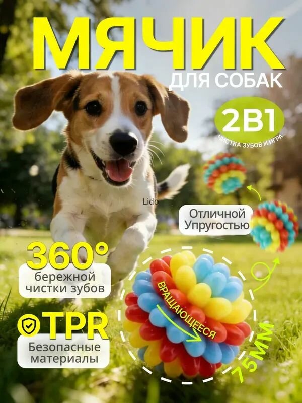 Игрушка-мяч для собак из TPR с текстурой суккулента, очищает зубы и подходит для активных игр