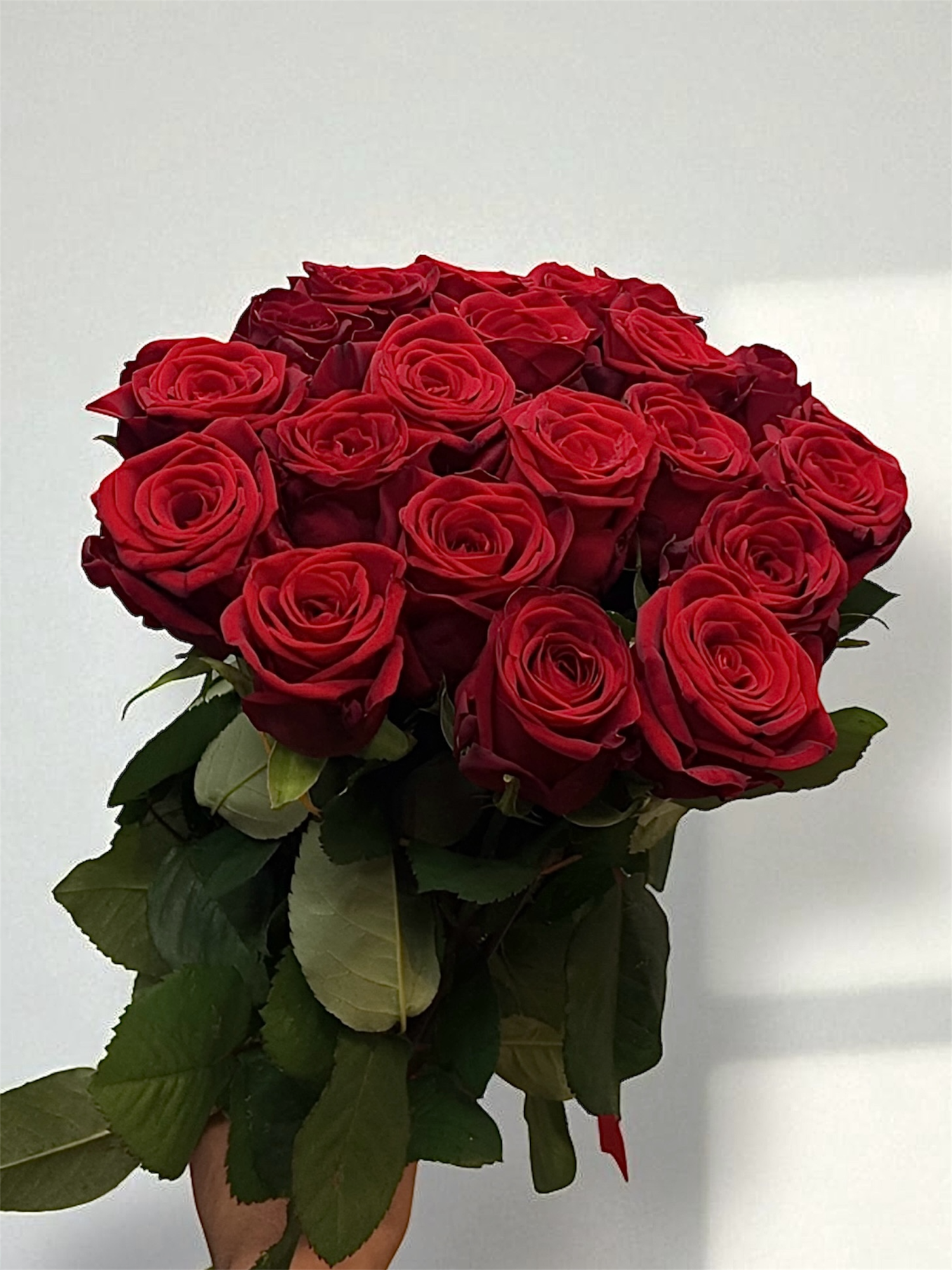 Букет из 21 красной российской розы 50см, "Red Naomi" Ред Наоми, подарок на 14 февраля, на 8 марта