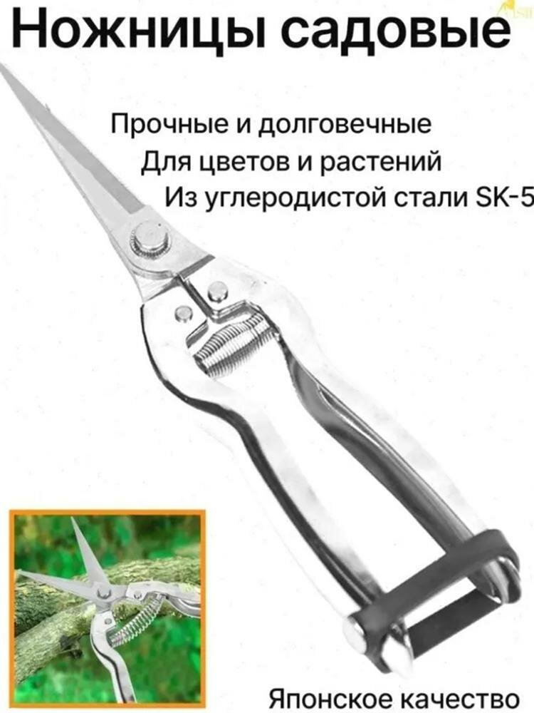 Секатор для плодовых деревьев, Подходит для прививки растений и цветов.
