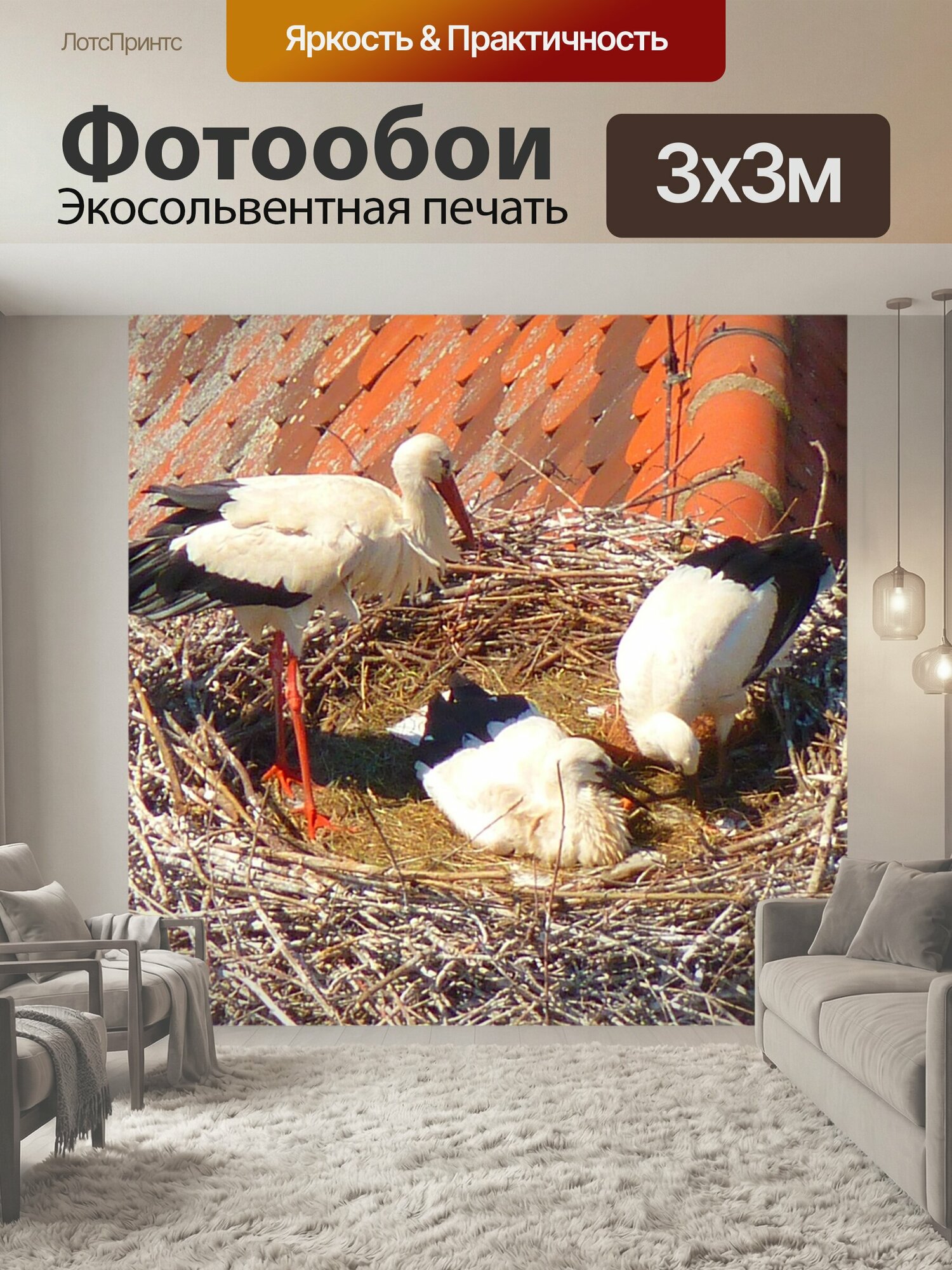 Фотообои "Аист, аисты, птицы" 300x300 см. экосольвентная печать