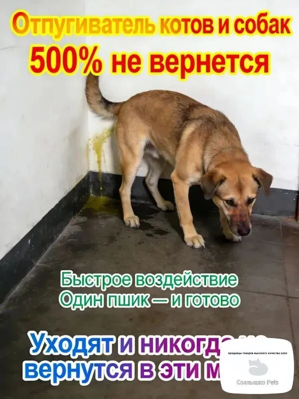 Антигадин Спрей для коррекции поведения Animalзащита мебели и растений.