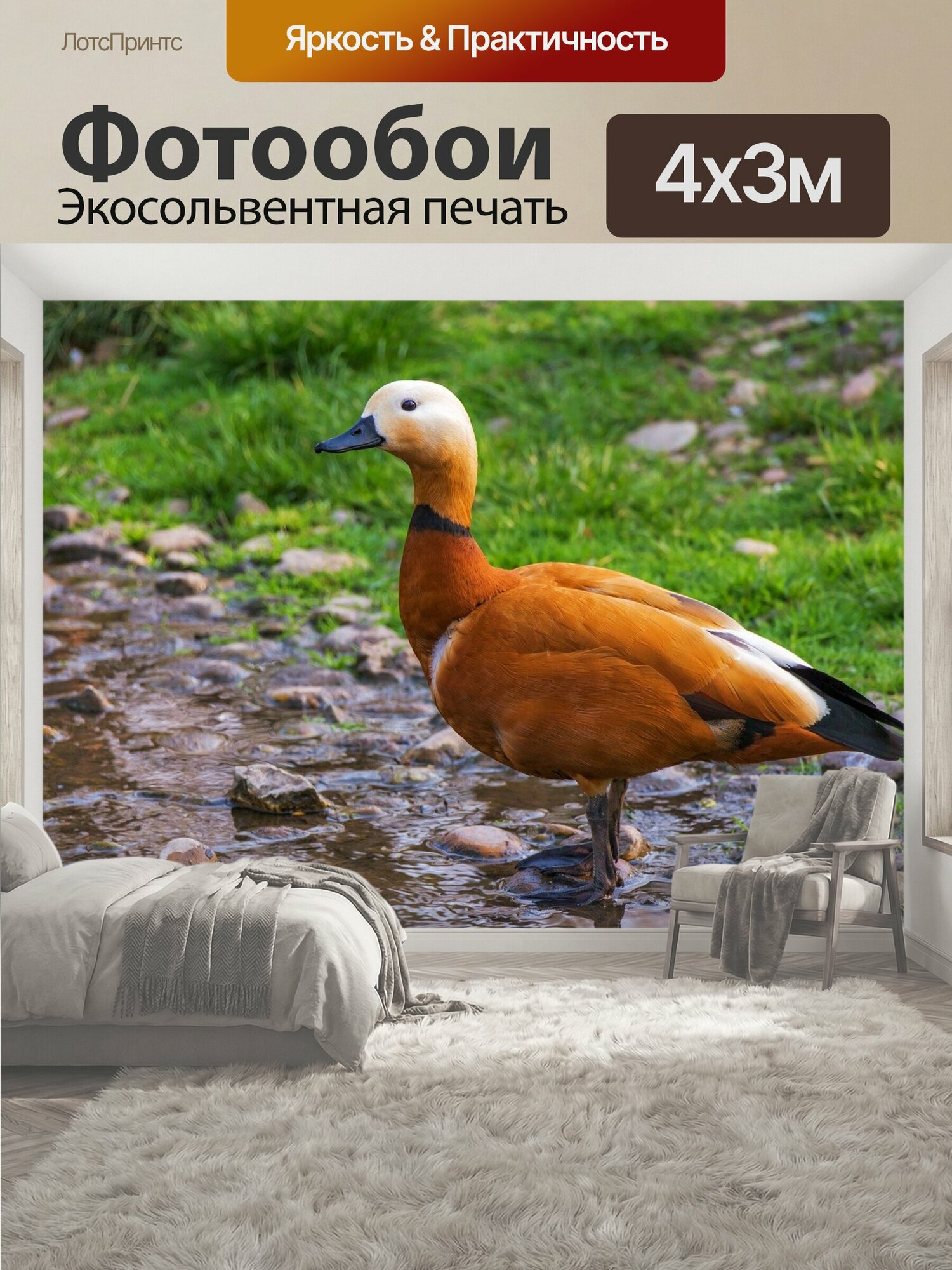 Фотообои "Огарь, утка, птица" 400x300 см. экосольвентная печать