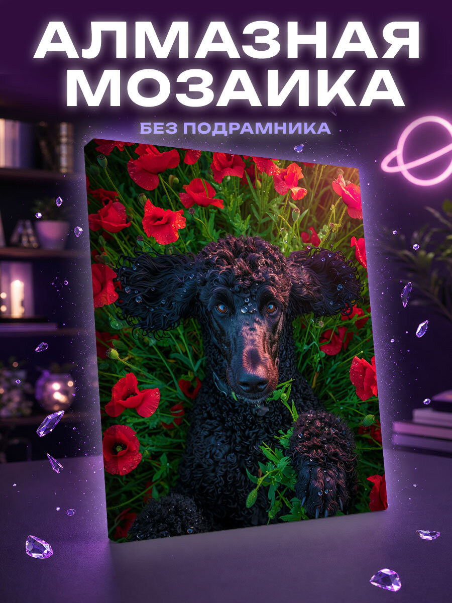 Алмазная мозаика пудель в ярко-алых маках на рассвете