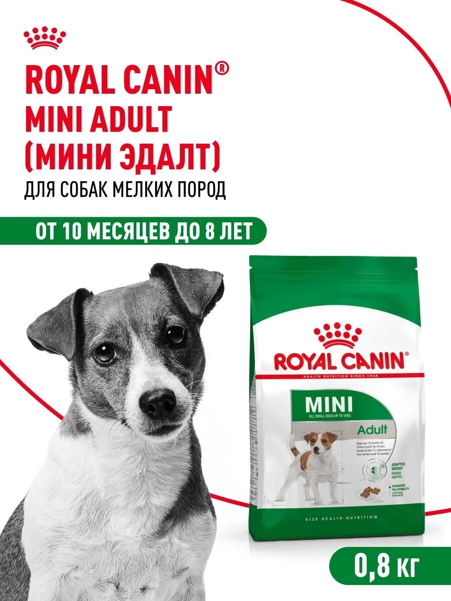 Сухой корм Royal Canin Mini Adult для собак для мелких пород, 800 г