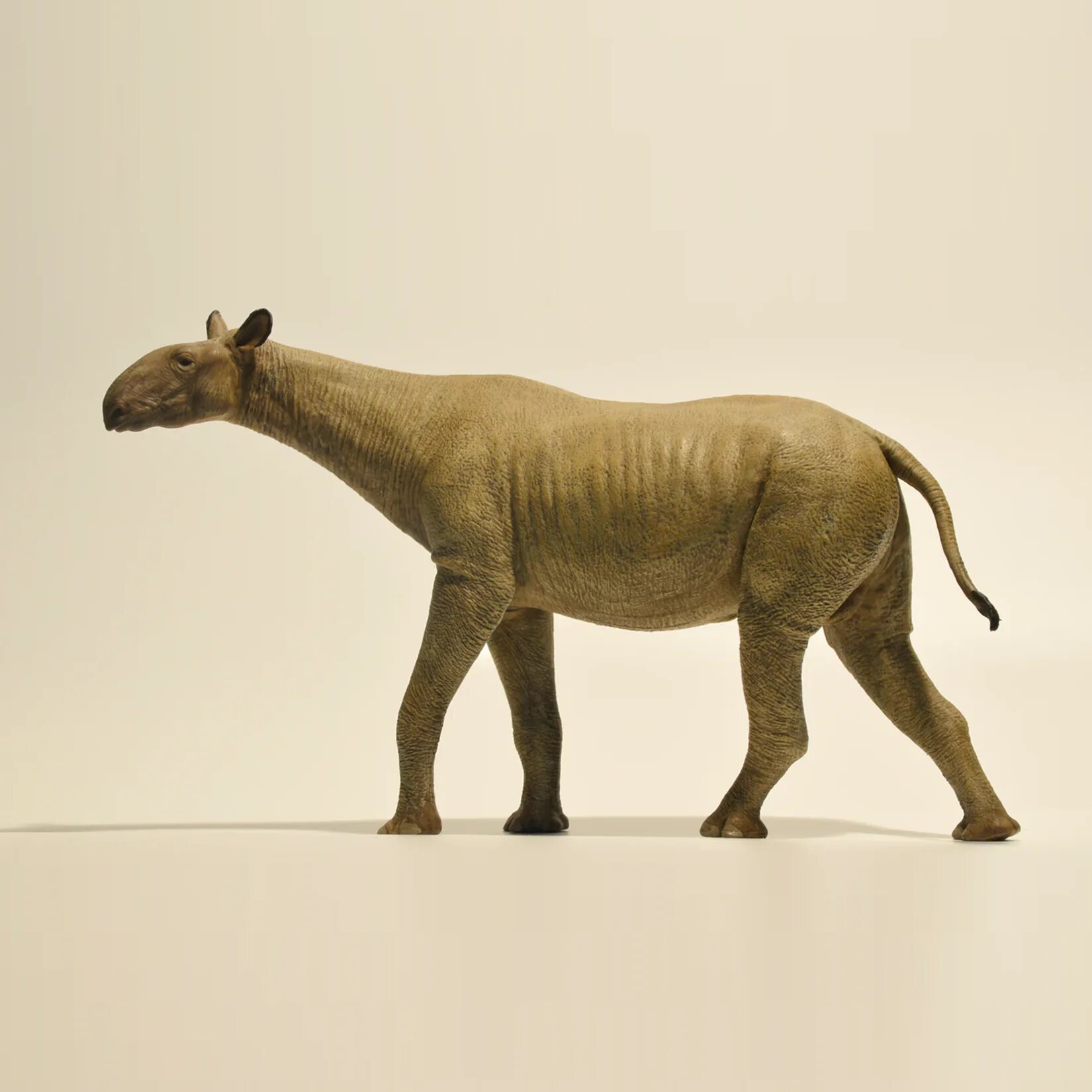 Фигурка Eofauna Paraceratherium Grangeri 1:35 UUNYSAUR