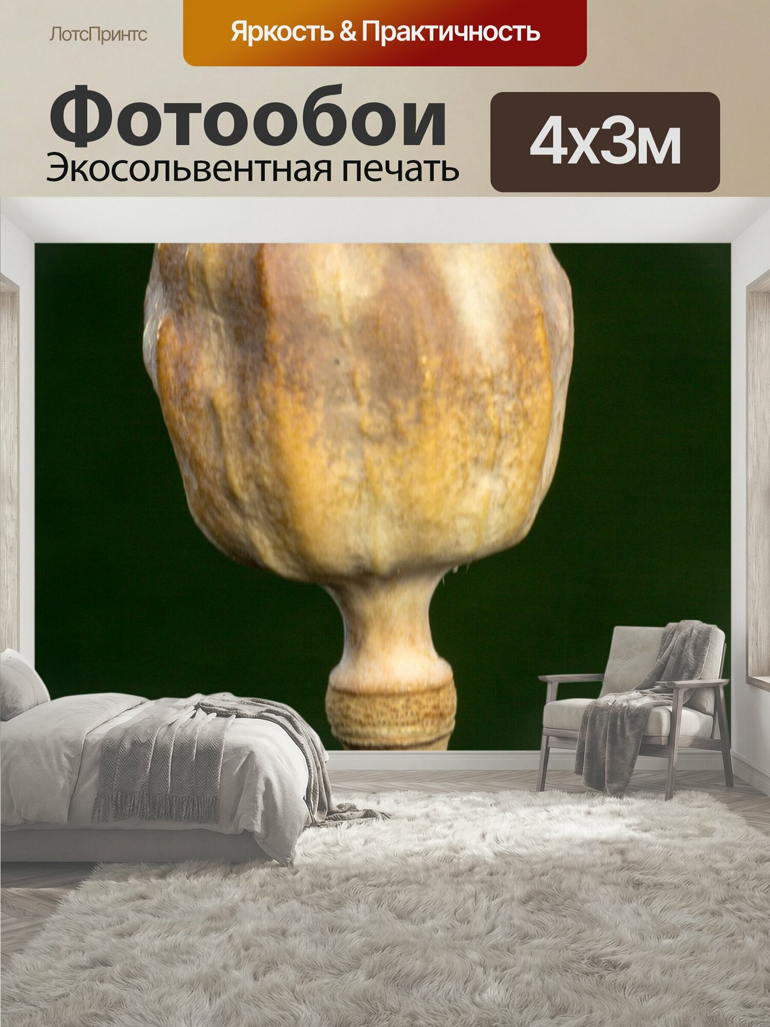Фотообои "Мак, капсулы с маком, сухой" 400x300 см. экосольвентная печать