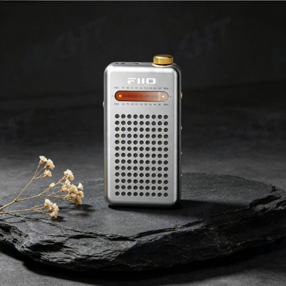 FIIO RR13 Стерео Fm-Радио Bass + 3D-Эффект Для Наушников Двухрежимное