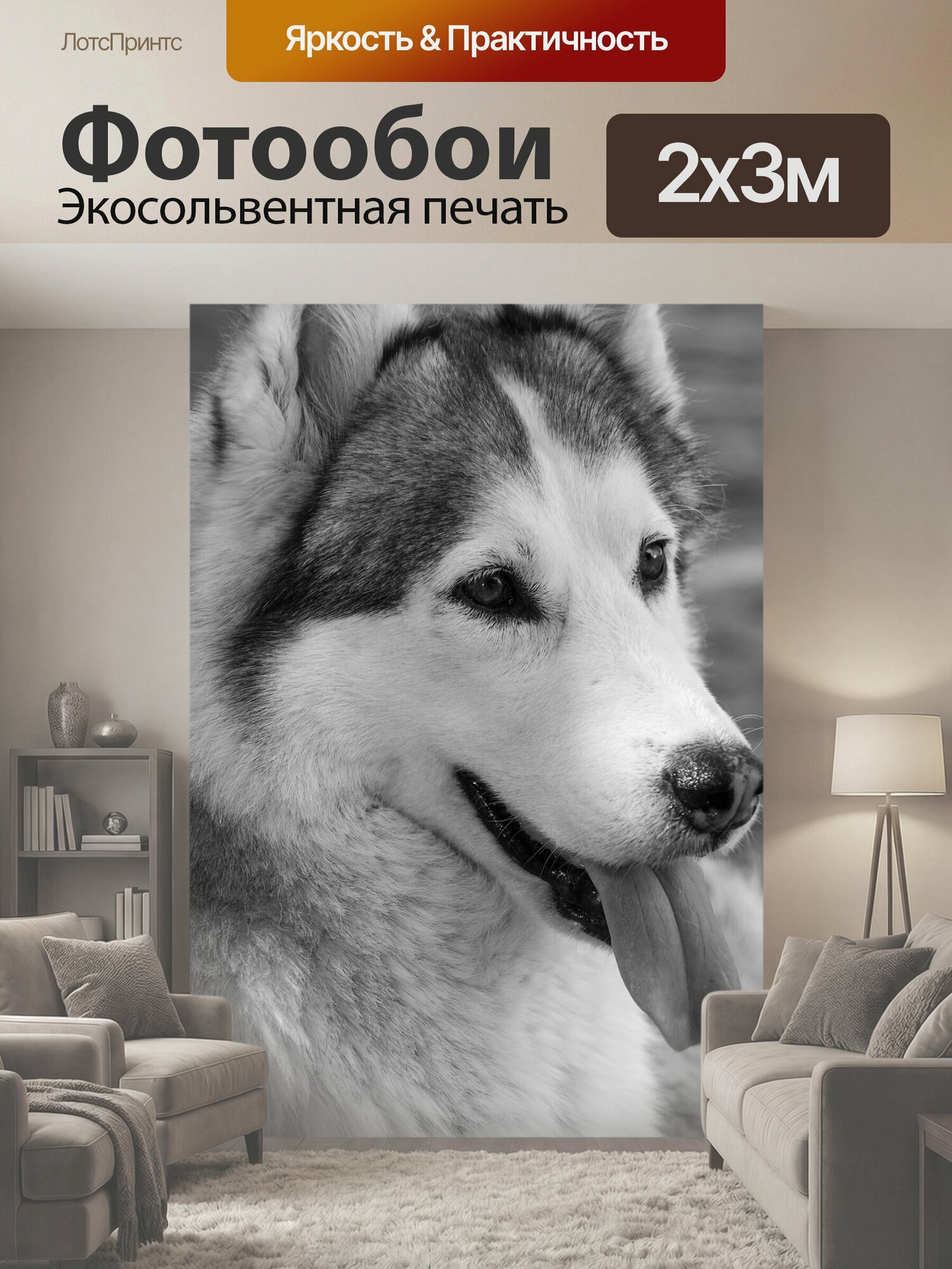 Фотообои "Сибирский хаски, хаски, собака" 200x300 см. экосольвентная печать