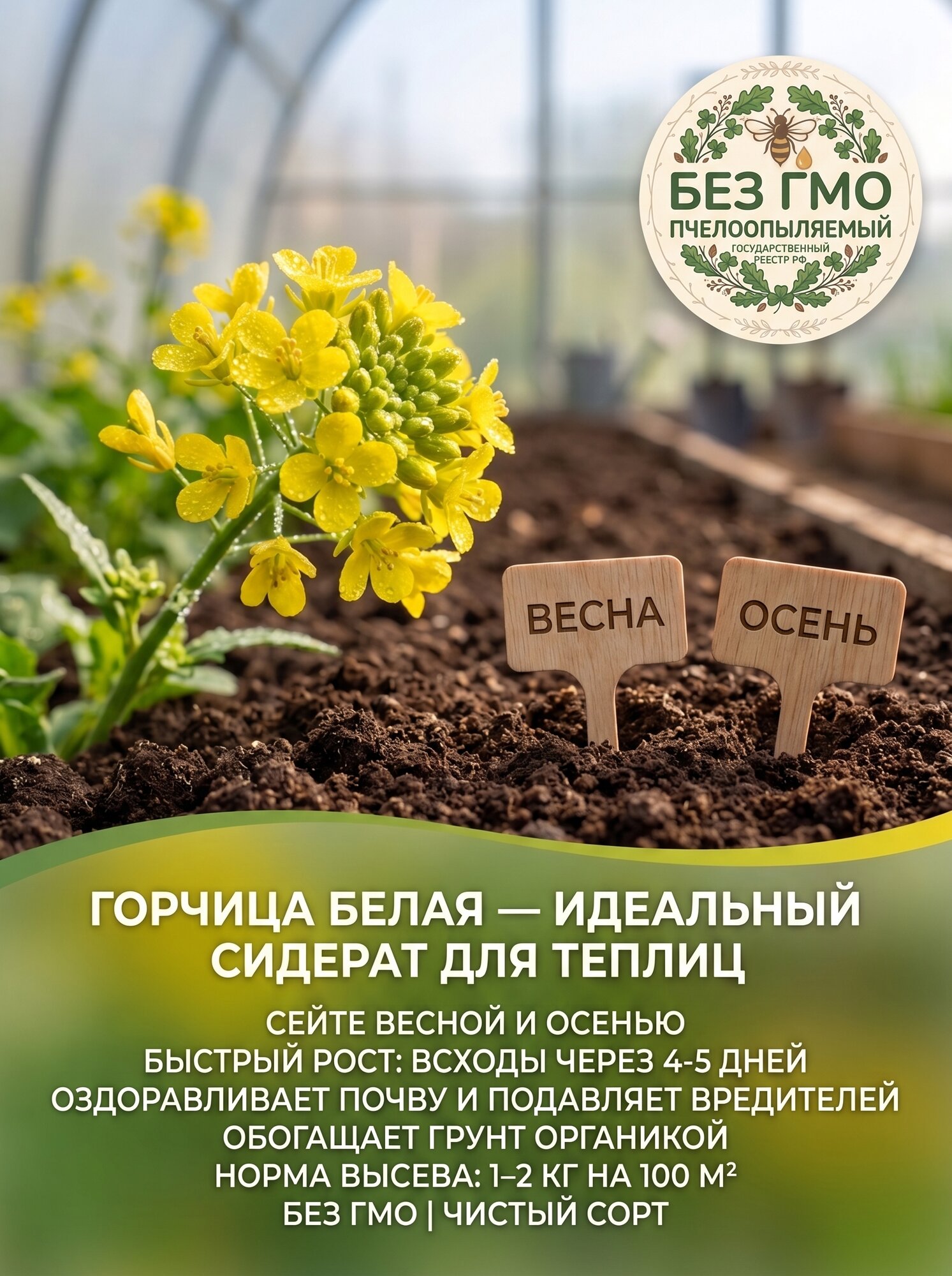 Семена Горчица белая (сидерат, медонос) 50 г удобрение почвы, подавляет сорняки, привлекает пчел.