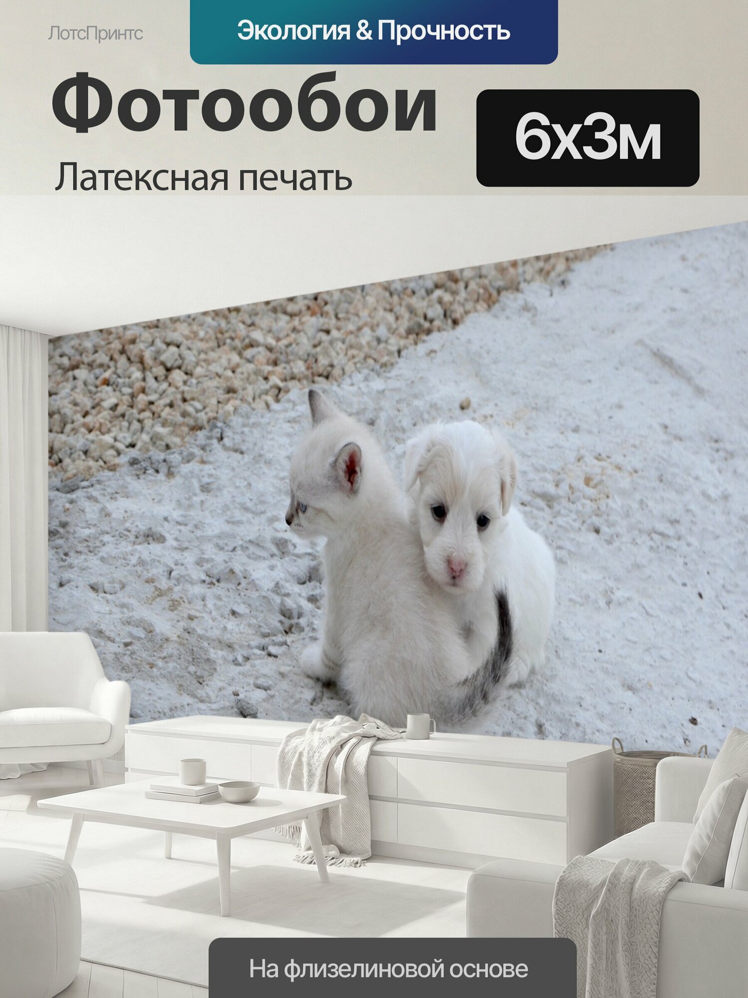 Фотообои моющиеся ударопрочные "Собака кошка, щенок, котенок" 600x300 см. латексная печать