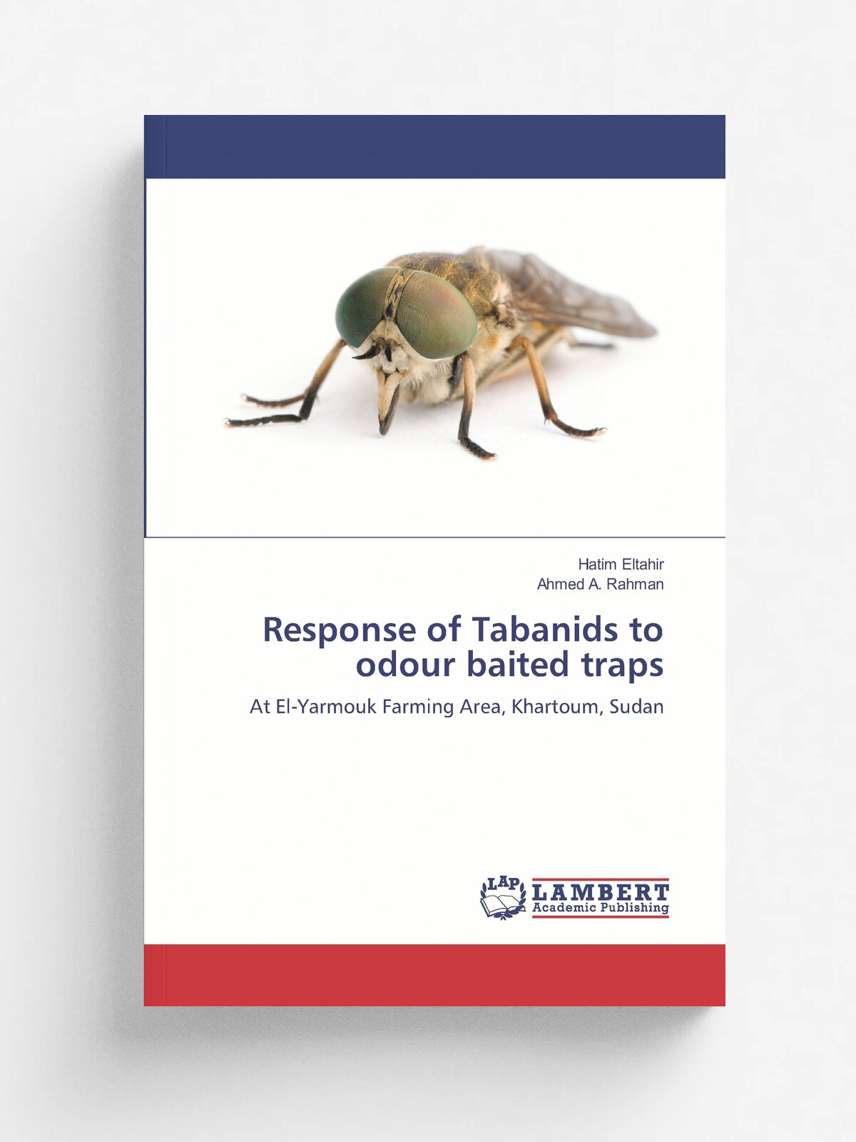Response of Tabanids to odour baited traps